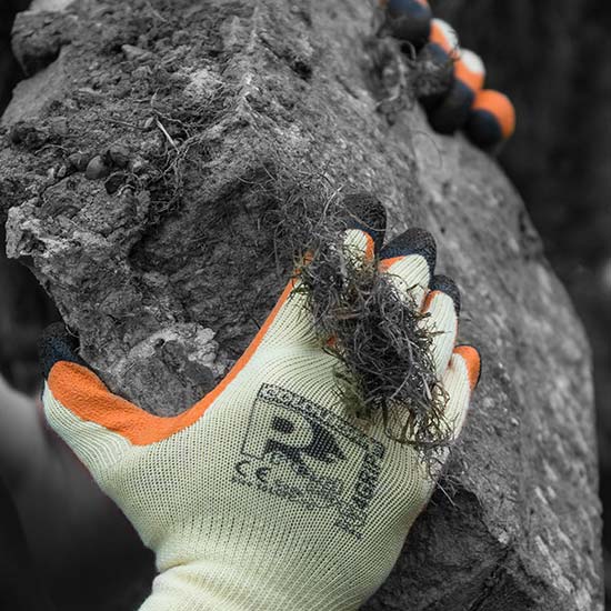 Coloursafe PredPaws Gloves | Industrial Gas, Equipment & Accessories ...