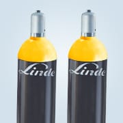 Linde Online Shop: Session Timeout