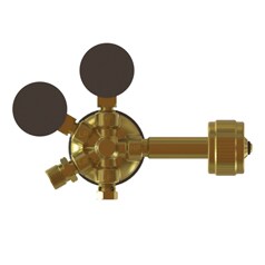 GENIE® Hydrogen, Single Stage 2-Gauge Regulator, (10bar) | Industrial ...